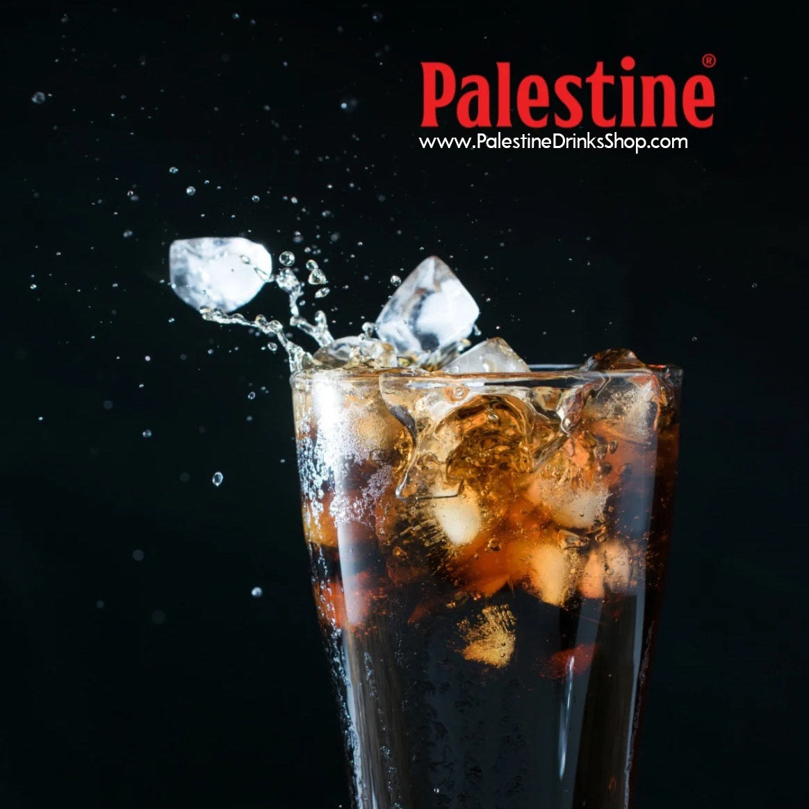 Palestine Drinks® | Official Online Store – Palestine Drinks Shop
